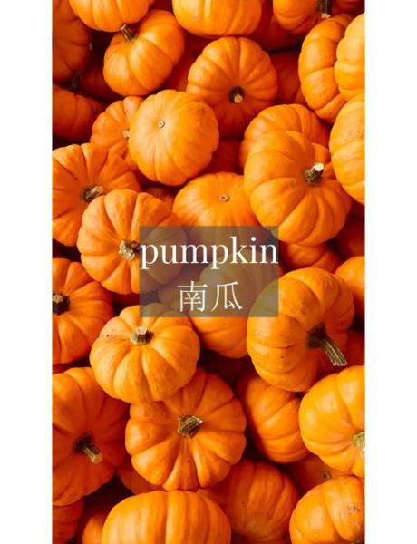 how_to_make_pumpkin_pie_from_scratch_easy-第1张图片-山城妙识