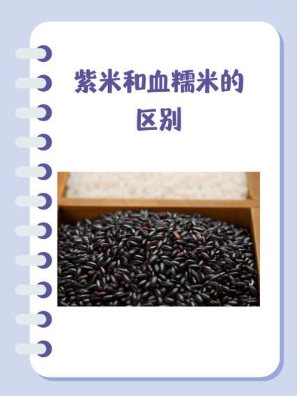 血糯米和紫米的区别_哪个更营养-第2张图片-山城妙识
