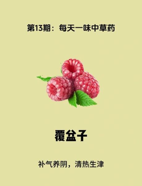 覆盆子根的功效与作用_覆盆子根的禁忌有哪些-第1张图片-山城妙识 覆盆子根的功效与作用_覆盆子根的禁忌有哪些-第1张图片-山城妙识