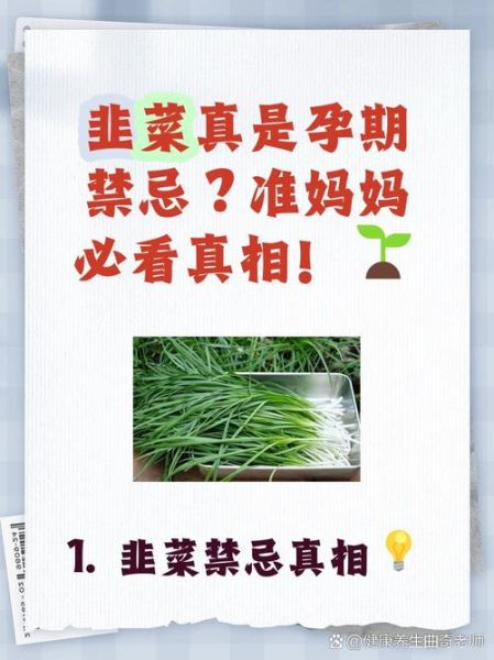 孕妇能吃韭菜吗_孕早期吃韭菜安全吗-第1张图片-山城妙识 孕妇能吃韭菜吗_孕早期吃韭菜安全吗-第1张图片-山城妙识