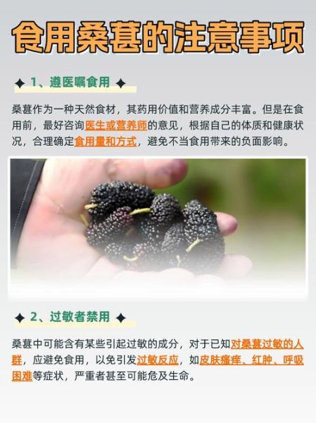 桑葚图片大全_桑葚的功效与作用-第2张图片-山城妙识