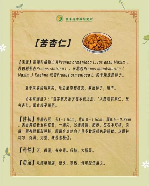 苦杏仁粉的功效与作用_苦杏仁粉能天天吃吗-第1张图片-山城妙识