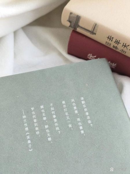 豆汁记叶广芩txt下载_豆汁记叶广芩小说全文免费阅读-第2张图片-山城妙识