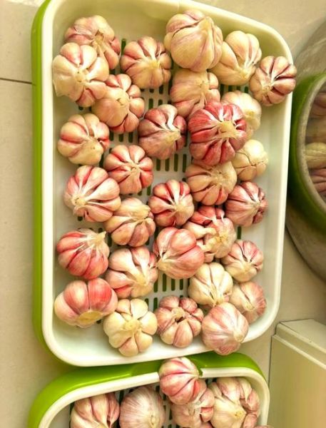 怎样腌大蒜_腌大蒜的正确方法-第3张图片-山城妙识 怎样腌大蒜_腌大蒜的正确方法-第3张图片-山城妙识