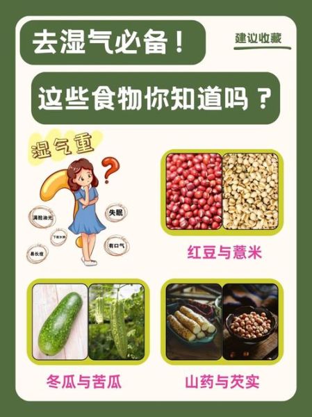 除湿气的食物有哪些_湿气重吃什么好-第1张图片-山城妙识 除湿气的食物有哪些_湿气重吃什么好-第1张图片-山城妙识