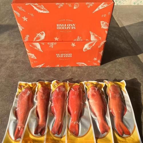 红星斑和东星斑一样吗_区别与选购指南-第1张图片-山城妙识 红星斑和东星斑一样吗_区别与选购指南-第1张图片-山城妙识