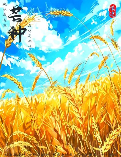 五谷丰登是哪五谷_五谷具体指什么-第3张图片-山城妙识 五谷丰登是哪五谷_五谷具体指什么-第3张图片-山城妙识