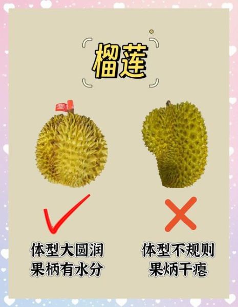 秋天有哪些水果_秋天水果怎么挑-第3张图片-山城妙识