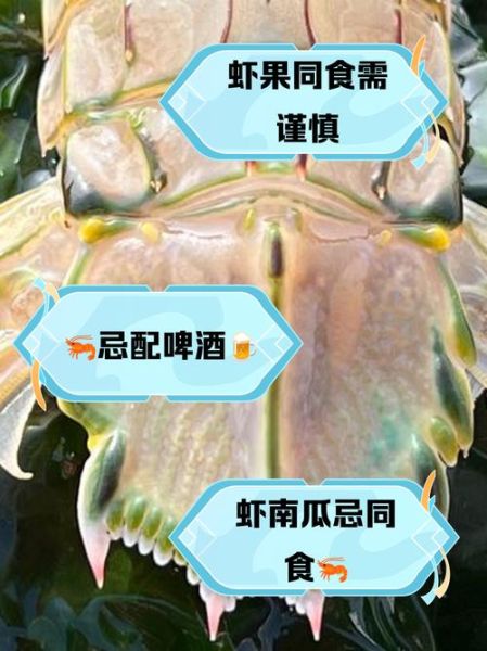 皮皮虾不能和什么一起吃_吃皮皮虾的禁忌有哪些-第1张图片-山城妙识