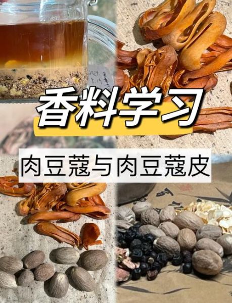 草豆蔻与肉豆蔻的区别_哪个更适合炖肉-第3张图片-山城妙识