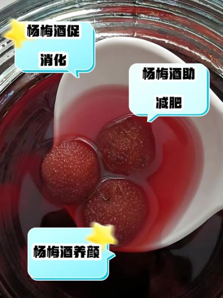 杨梅酒有什么好处_杨梅酒的功效与作用-第3张图片-山城妙识