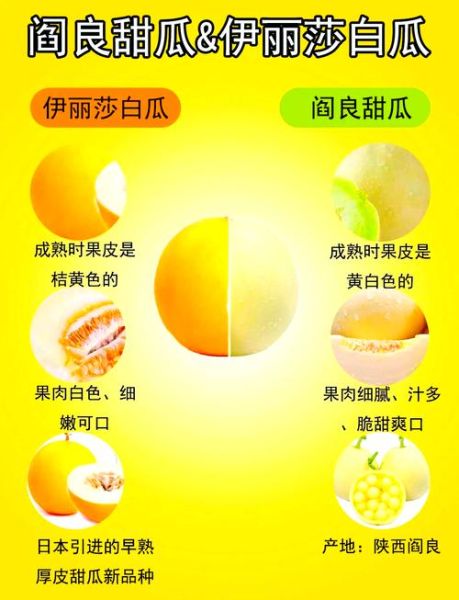 伊丽莎白瓜的热量是多少_减肥能吃吗-第1张图片-山城妙识 伊丽莎白瓜的热量是多少_减肥能吃吗-第1张图片-山城妙识