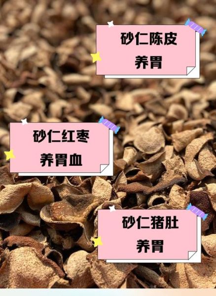 砂仁与什么搭配治胃病好_砂仁治胃病的最佳配伍-第2张图片-山城妙识 砂仁与什么搭配治胃病好_砂仁治胃病的最佳配伍-第2张图片-山城妙识