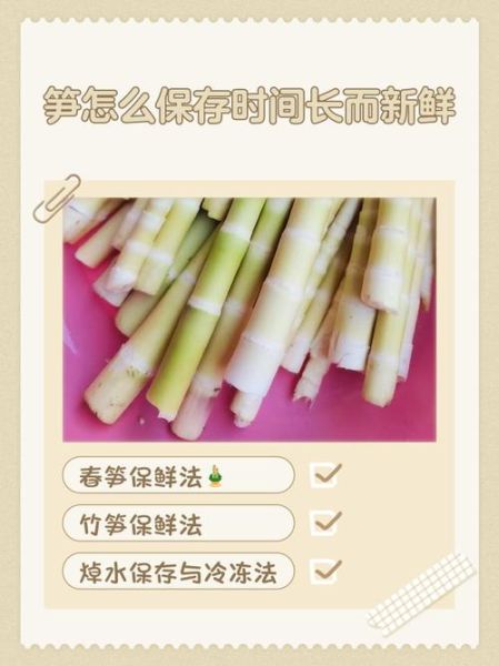 新鲜笋子怎么保存_新鲜笋子怎么焯水-第1张图片-山城妙识