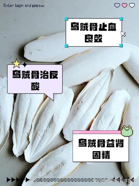 乌贼骨有什么功效_乌贼骨怎么服用-第3张图片-山城妙识