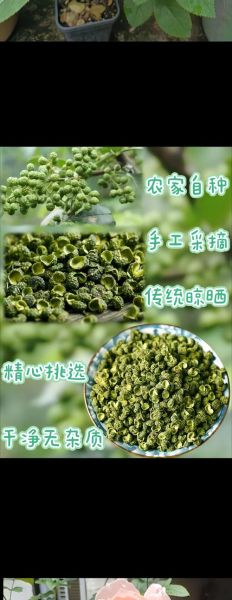 青花椒图片_如何辨别新鲜度-第1张图片-山城妙识 青花椒图片_如何辨别新鲜度-第1张图片-山城妙识