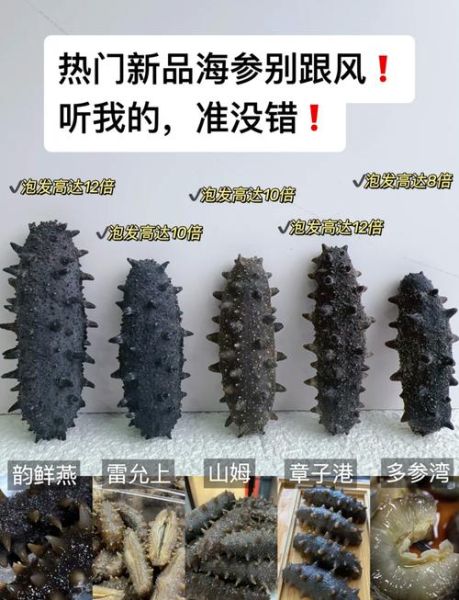 海参价格多少一个_海参多少钱一只-第3张图片-山城妙识 海参价格多少一个_海参多少钱一只-第3张图片-山城妙识