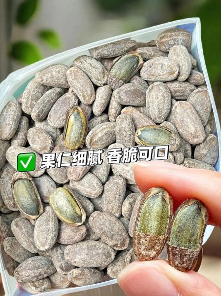 吊瓜子哪些人不能吃_孕妇可以吃吊瓜子吗-第2张图片-山城妙识 吊瓜子哪些人不能吃_孕妇可以吃吊瓜子吗-第2张图片-山城妙识