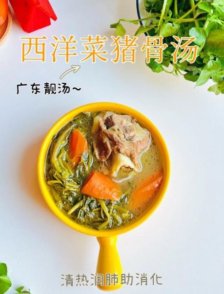 西洋菜煲猪骨汤的功效_西洋菜煲猪骨汤的做法-第1张图片-山城妙识 西洋菜煲猪骨汤的功效_西洋菜煲猪骨汤的做法-第1张图片-山城妙识