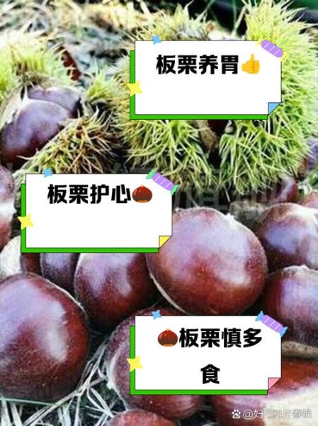 栗子吃了有什么好处和坏处_栗子一天吃多少合适-第2张图片-山城妙识