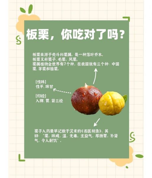 栗子吃了有什么好处和坏处_栗子一天吃多少合适-第1张图片-山城妙识