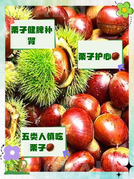 栗子吃了有什么好处和坏处_栗子一天吃多少合适-第3张图片-山城妙识