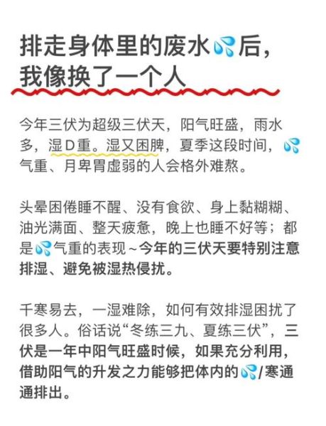 三伏天怎么排湿气寒气最好_三伏天排湿寒最有效的方法-第2张图片-山城妙识