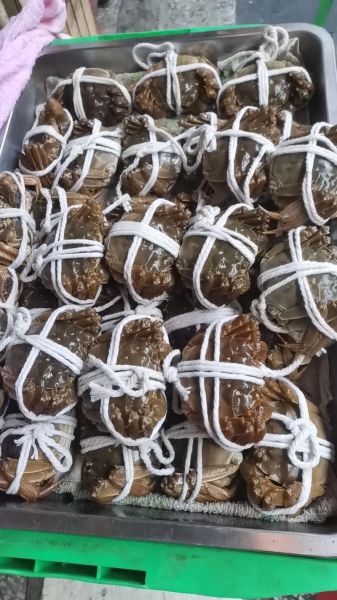 太湖大闸蟹多少钱一斤_2024最新价格行情-第2张图片-山城妙识 太湖大闸蟹多少钱一斤_2024最新价格行情-第2张图片-山城妙识