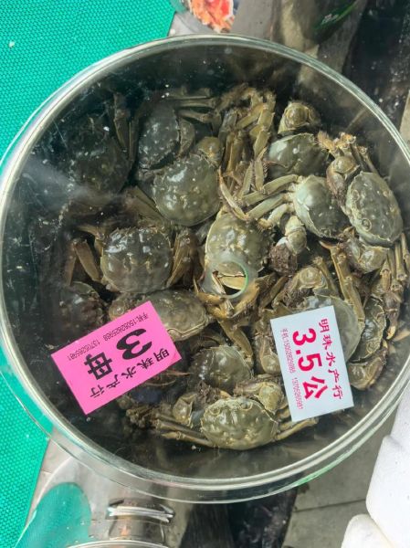 太湖大闸蟹多少钱一斤_2024最新价格行情-第1张图片-山城妙识 太湖大闸蟹多少钱一斤_2024最新价格行情-第1张图片-山城妙识