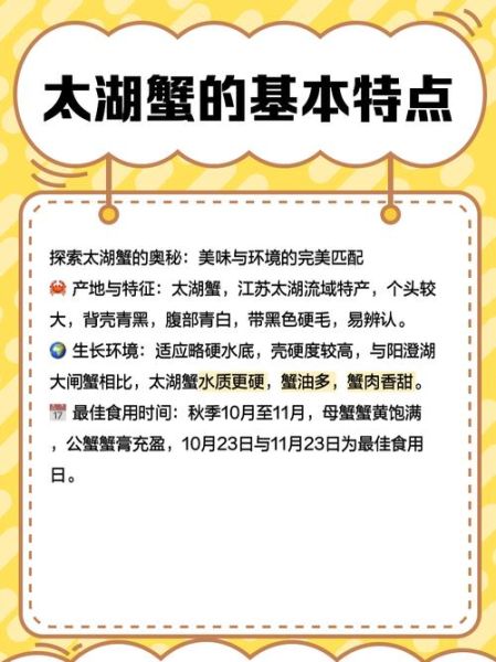 太湖大闸蟹多少钱一斤_2024最新价格行情-第3张图片-山城妙识 太湖大闸蟹多少钱一斤_2024最新价格行情-第3张图片-山城妙识