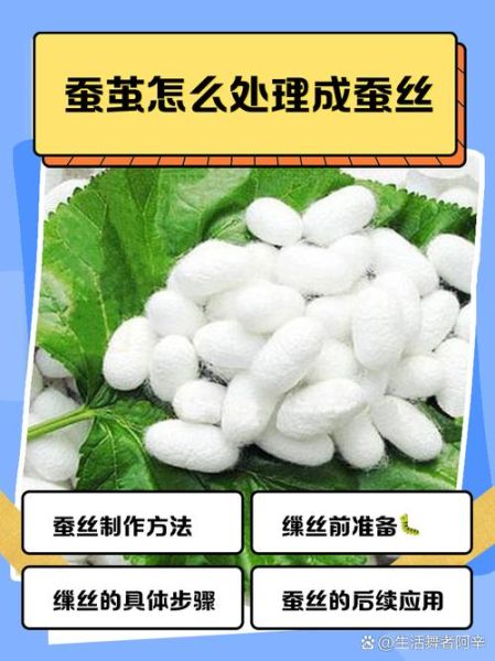 蚕茧怎么做_蚕茧的制作步骤详解-第3张图片-山城妙识 蚕茧怎么做_蚕茧的制作步骤详解-第3张图片-山城妙识