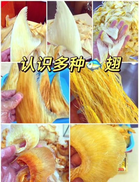 鱼翅是什么_鱼翅是怎么来的-第3张图片-山城妙识 鱼翅是什么_鱼翅是怎么来的-第3张图片-山城妙识