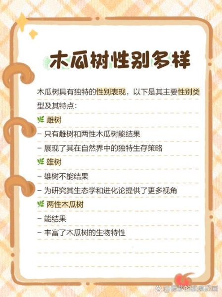 木瓜树有几种品种图片_如何区分常见木瓜品种-第2张图片-山城妙识