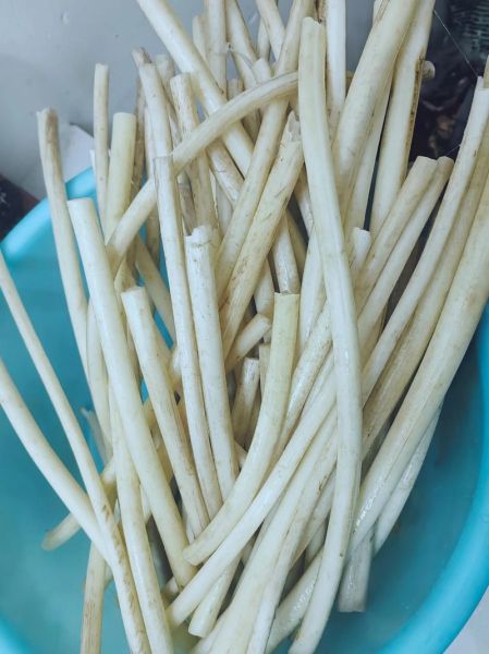 藕带种植技术_藕带亩产多少斤-第2张图片-山城妙识 藕带种植技术_藕带亩产多少斤-第2张图片-山城妙识