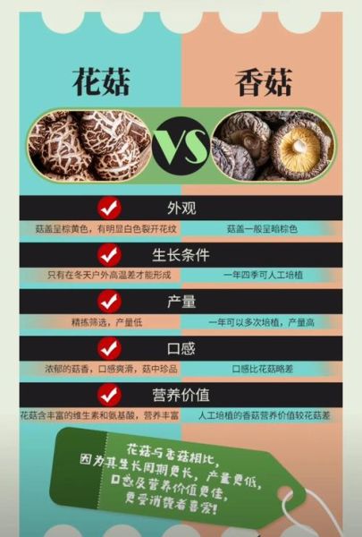 小花菇怎么泡发_小花菇和香菇的区别-第2张图片-山城妙识