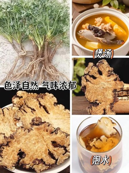 川芎图片大全大图_川芎长什么样-第3张图片-山城妙识 川芎图片大全大图_川芎长什么样-第3张图片-山城妙识