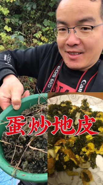 地皮菜炒鸡蛋怎么做好吃_地皮菜炒鸡蛋的做法窍门-第1张图片-山城妙识 地皮菜炒鸡蛋怎么做好吃_地皮菜炒鸡蛋的做法窍门-第1张图片-山城妙识