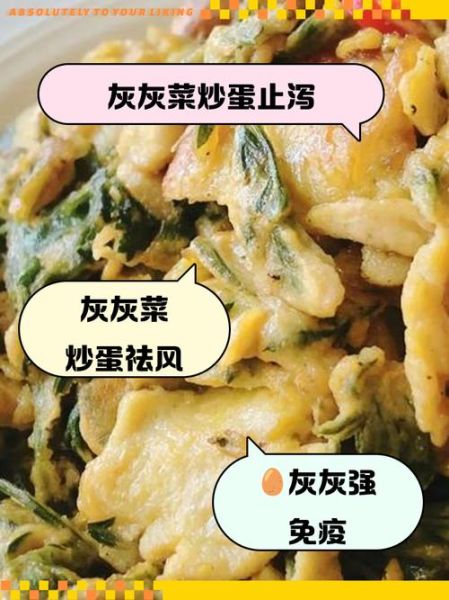 灰灰菜怎么吃_灰灰菜做法大全-第1张图片-山城妙识 灰灰菜怎么吃_灰灰菜做法大全-第1张图片-山城妙识