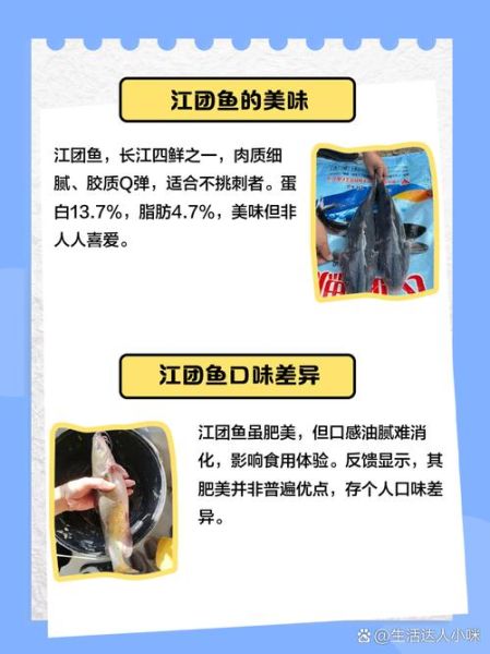 江团鱼什么人不能吃_江团鱼不能和什么一起吃-第1张图片-山城妙识 江团鱼什么人不能吃_江团鱼不能和什么一起吃-第1张图片-山城妙识