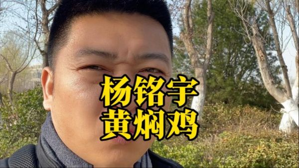 杨铭宇黄焖鸡米饭logo含义_品牌视觉升级解析-第2张图片-山城妙识 杨铭宇黄焖鸡米饭logo含义_品牌视觉升级解析-第2张图片-山城妙识