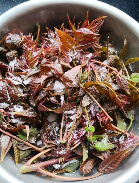 腌香椿怎么做_腌香椿的做法大全-第1张图片-山城妙识 腌香椿怎么做_腌香椿的做法大全-第1张图片-山城妙识