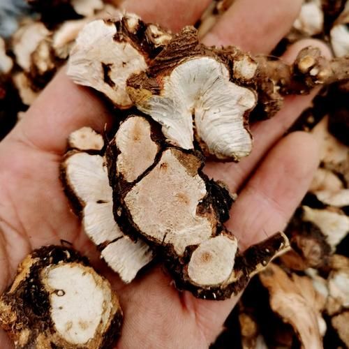 金荞麦片的功效与作用_金荞麦片的禁忌有哪些-第2张图片-山城妙识 金荞麦片的功效与作用_金荞麦片的禁忌有哪些-第2张图片-山城妙识