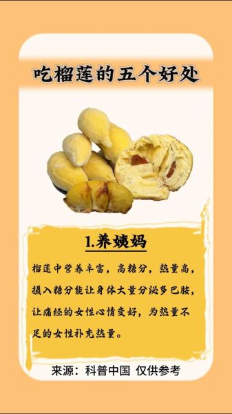榴莲的营养价值高吗_吃榴莲有哪些好处-第1张图片-山城妙识