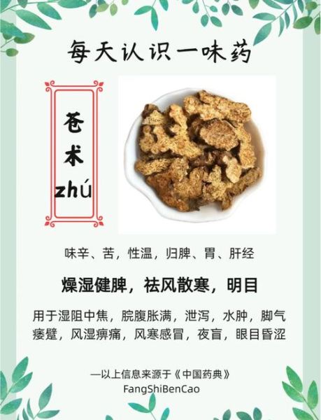 炒苍术的功效与作用_炒苍术能祛湿吗-第2张图片-山城妙识 炒苍术的功效与作用_炒苍术能祛湿吗-第2张图片-山城妙识