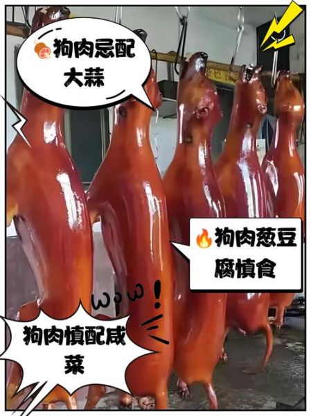 狗肉不能和什么一起吃_狗肉相克食物有哪些-第3张图片-山城妙识 狗肉不能和什么一起吃_狗肉相克食物有哪些-第3张图片-山城妙识