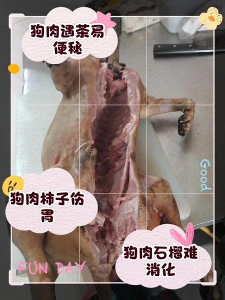 狗肉不能和什么一起吃_狗肉相克食物有哪些-第1张图片-山城妙识 狗肉不能和什么一起吃_狗肉相克食物有哪些-第1张图片-山城妙识