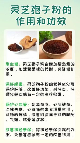灵芝孢子粉的功效与作用及食用方法_怎么吃效果最好-第3张图片-山城妙识 灵芝孢子粉的功效与作用及食用方法_怎么吃效果最好-第3张图片-山城妙识