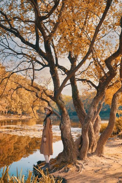 秋季图片怎么拍好看_秋季图片拍摄技巧-第2张图片-山城妙识