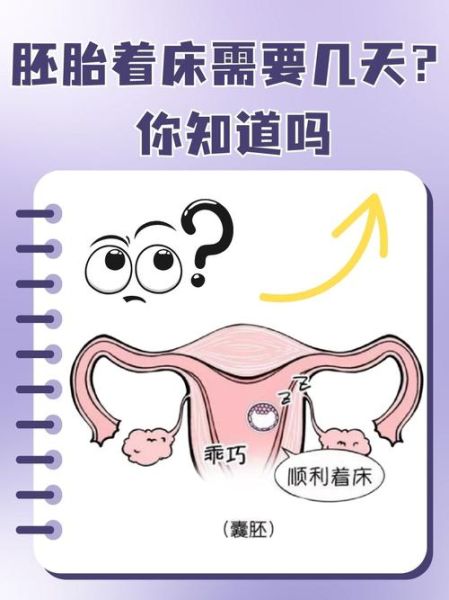 胚胎质量好的征兆_如何提高着床率-第3张图片-山城妙识