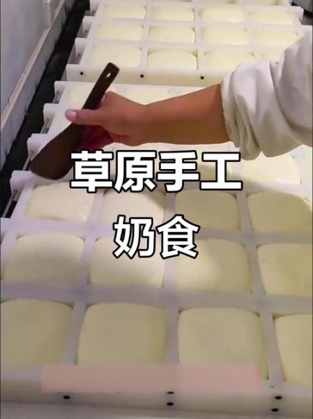 奶豆腐的做法_蒙古奶豆腐怎么做-第3张图片-山城妙识 奶豆腐的做法_蒙古奶豆腐怎么做-第3张图片-山城妙识